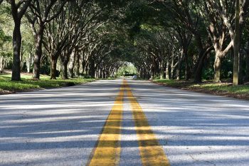 Martin Grade Scenic Highway: A Journey Through Florida's Nature